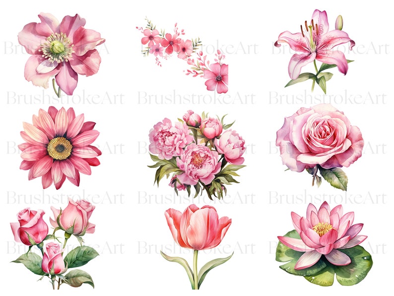 Pink Flower Clipart Pack: Watercolor Floral PNG Images for - Etsy