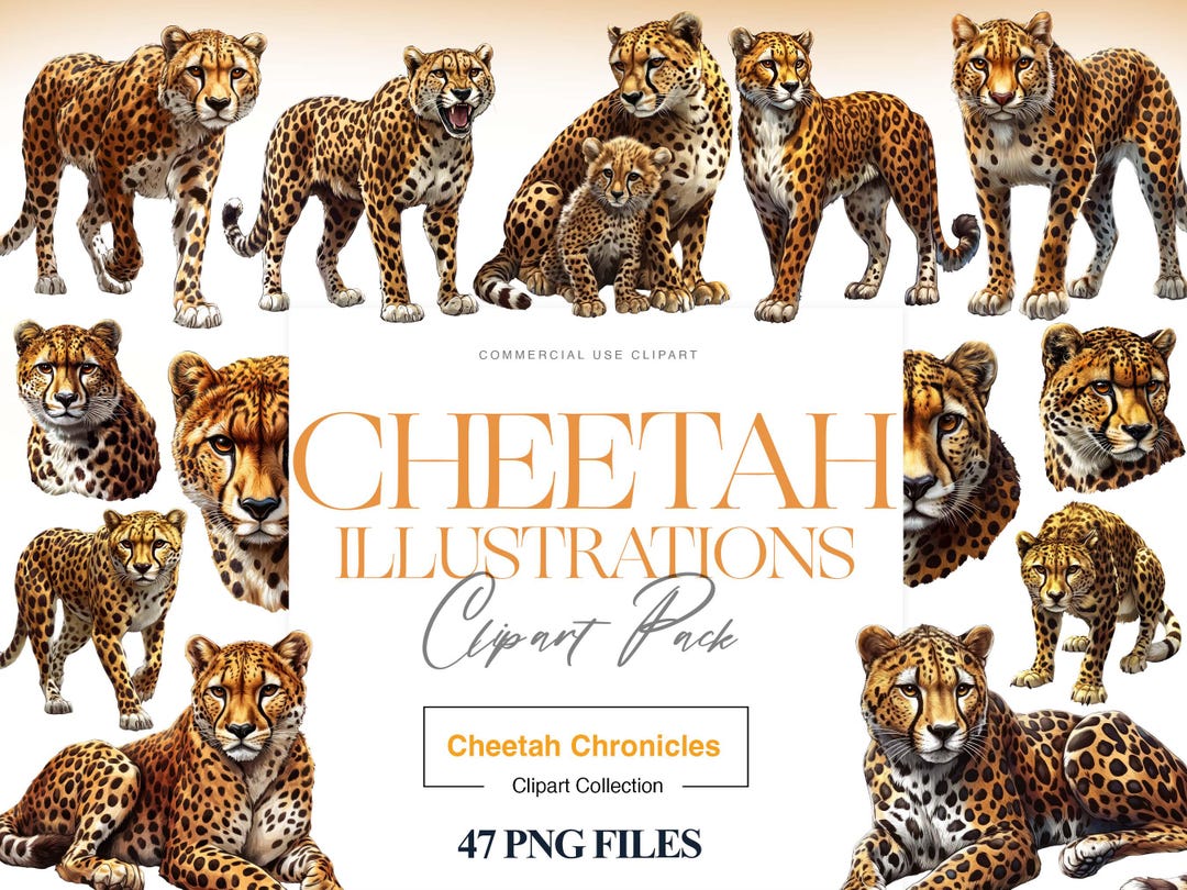 Cheetah Clipart, Big Cat, Cheetah Illustration, Wild Cats, Baby Cheetah ...
