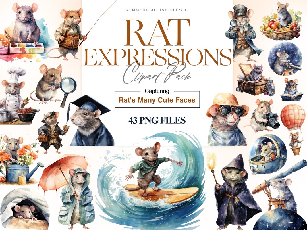 Watercolor Rat Clipart, Mice, Halloween, Rodent, Pet Rats, Domestic ...