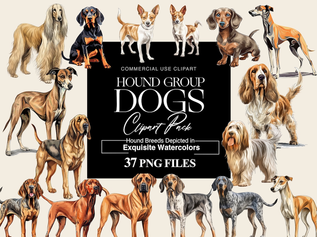 Hound Group Dogs Clipart Collection - 37 Unique Watercolor ...