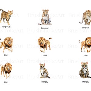 Wild Cat Clipart, African Animals PNG, Lion Clipart, Tiger PNG, Black ...