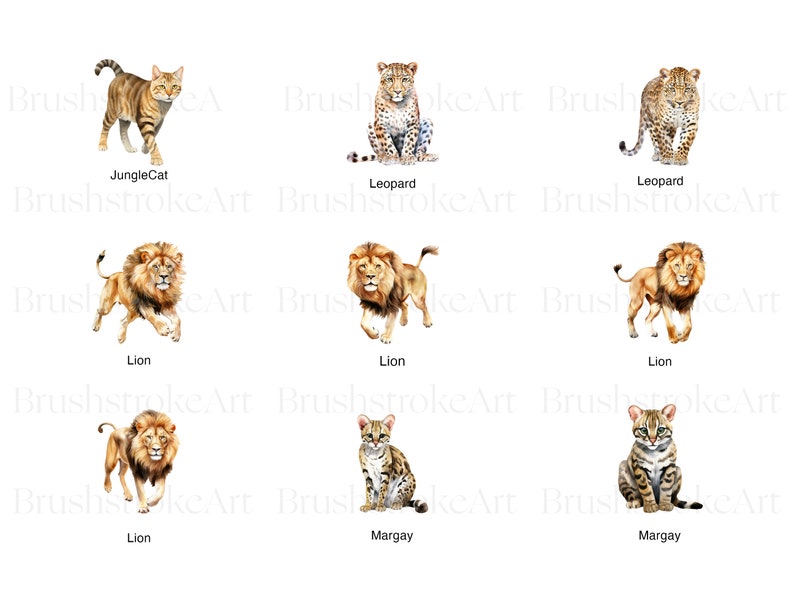 Wild Cat Clipart, African Animals PNG, Lion Clipart, Tiger PNG, Black ...