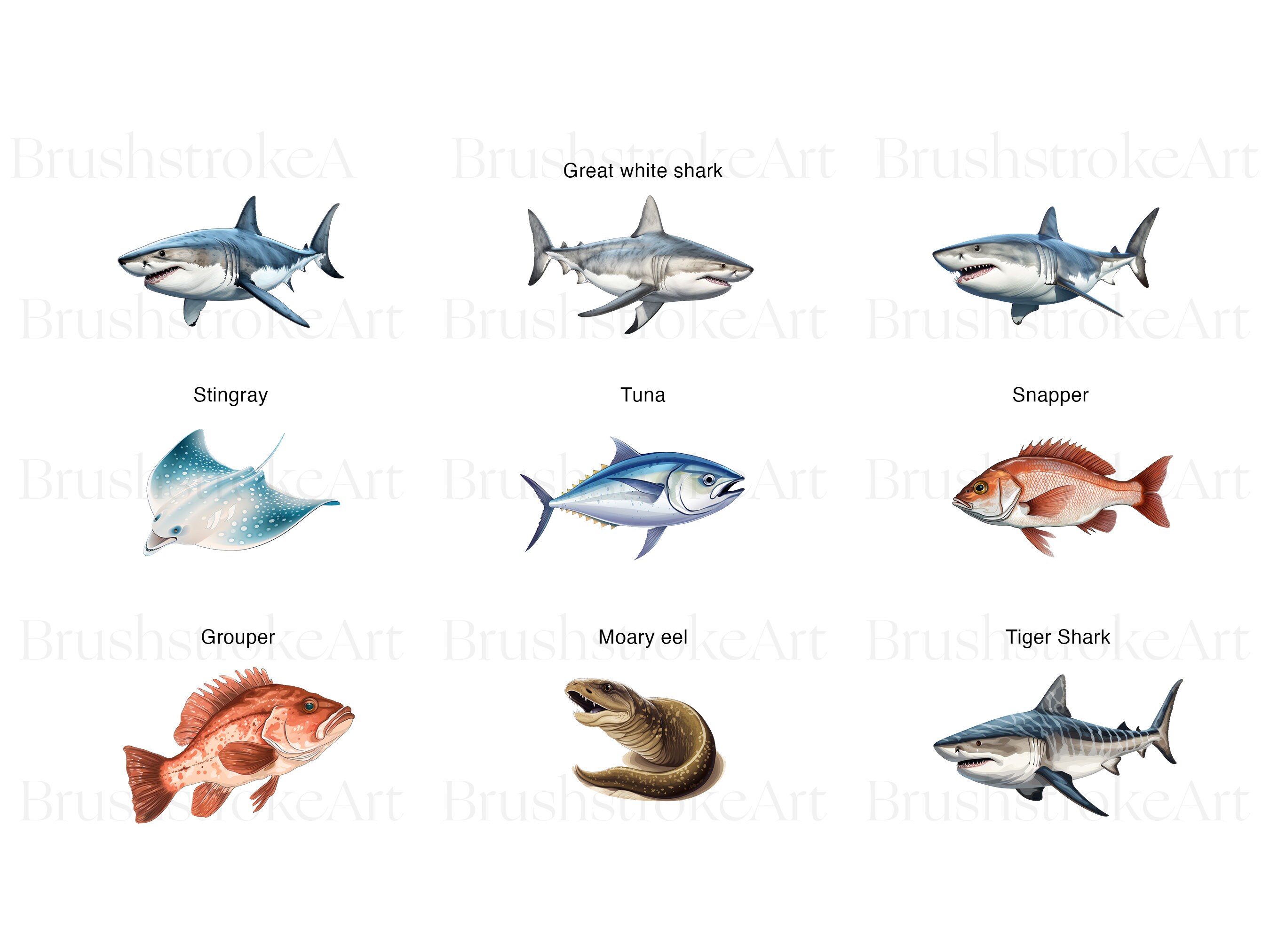 Saltwater Fish Clipart, Watercolor Fish PNG, Great White Shark, Ocean ...