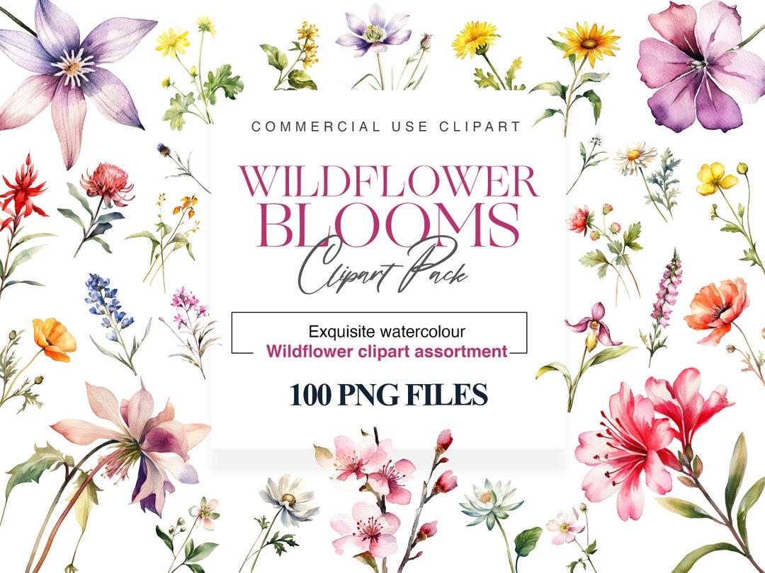 Wild Flowers Clipart Pack, Wildflower Watercolour Clipart, Floral ...
