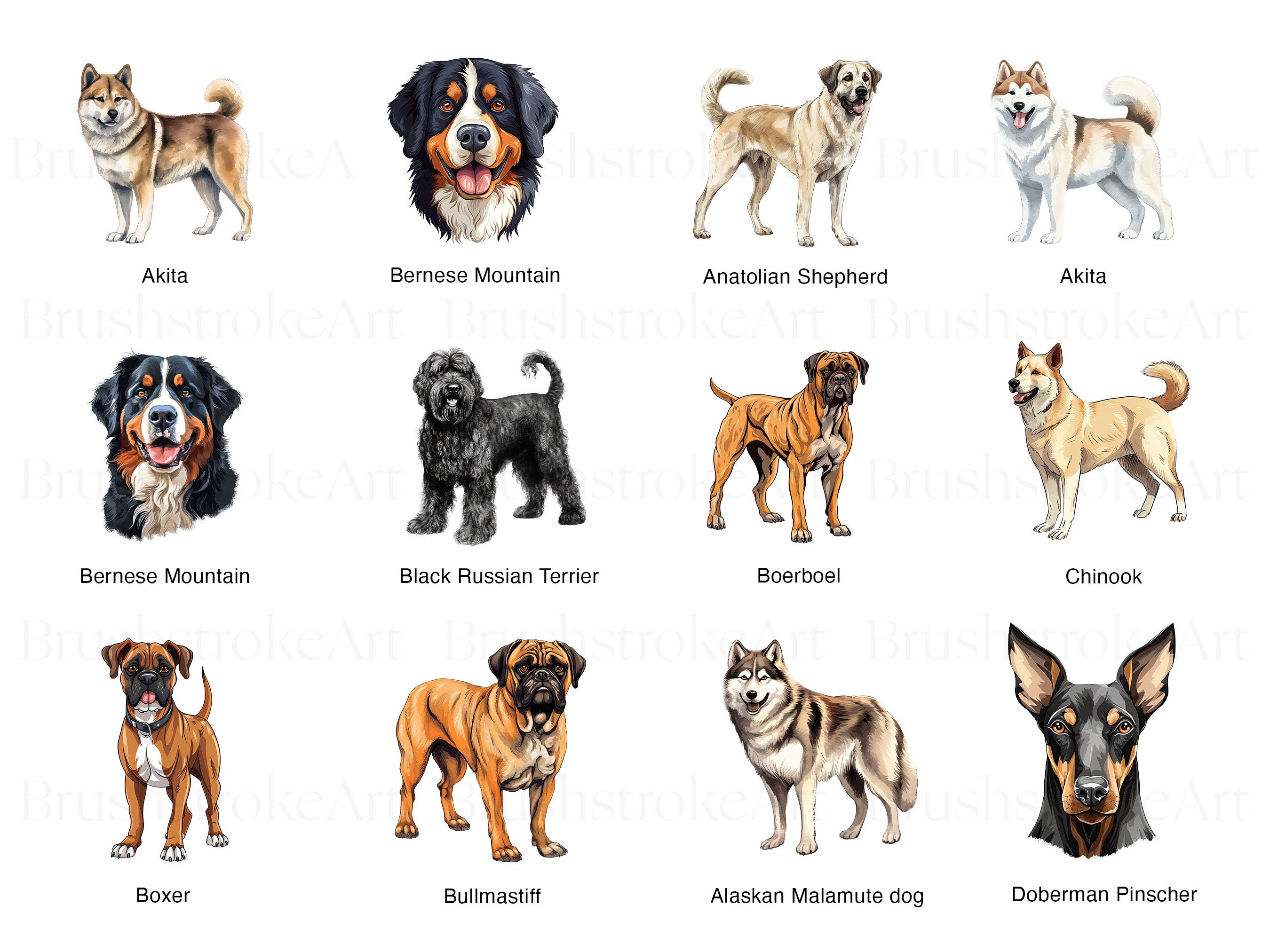 35 Watercolor Working Dogs Clipart, Mighty Taskmasters, Dobermann ...