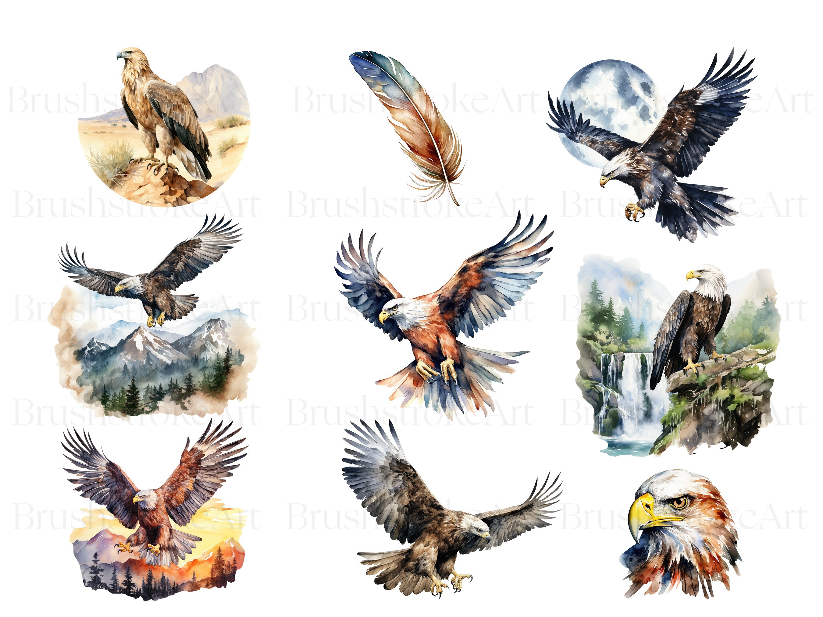 Watercolor Eagle Clipart, American, Bald Eagle, Head, American Symbol ...