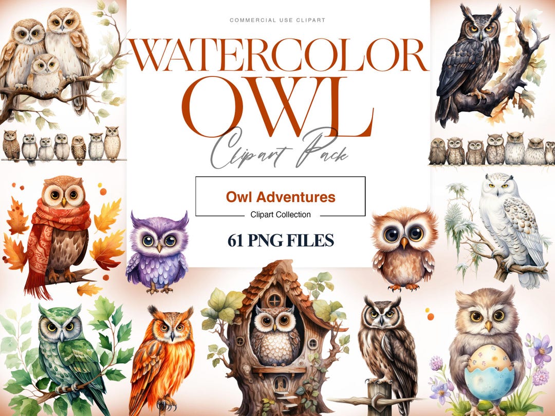 Watercolor Owl Clipart, Cute Owl in Tree, Vintage Owl PNG, Bird Clipart ...