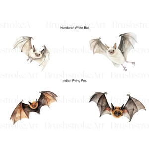 Watercolor Bat Clipart, Cute Bat PNG, Bat Illustrations, Cute Halloween ...