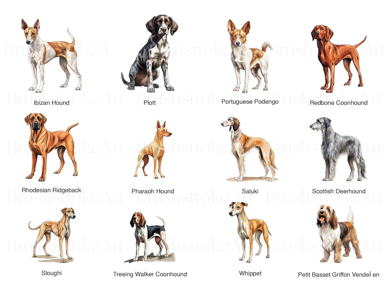 Hound Group Dogs Clipart Collection - 37 Unique Watercolor ...