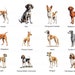 Hound Group Dogs Clipart Collection 37 Unique Watercolor Illustrations ...