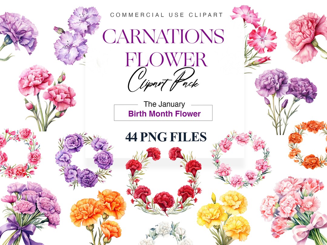 Birthmonth Flower Carnation Clipart, Watercolor Wreath, Bouquet ...