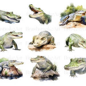 Watercolor Crocodile Clipart, Reptile, Underwater Animal PNG, Alligator ...