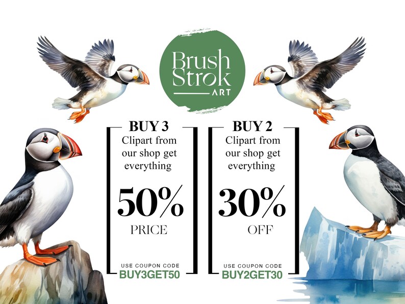 Watercolor Puffin Clipart, Atlantic Puffin, Winter Bird Puffin PNG ...
