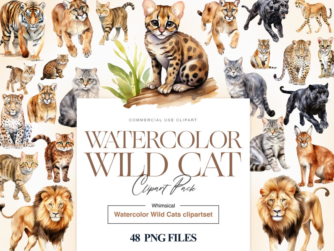 Wild Cat Clipart, African Animals PNG, Lion Clipart, Tiger PNG, Black ...