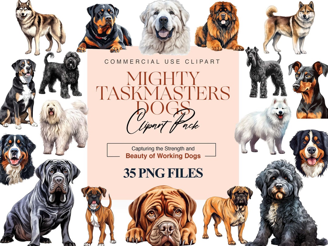 35 Watercolor Working Dogs Clipart, Mighty Taskmasters, Dobermann ...