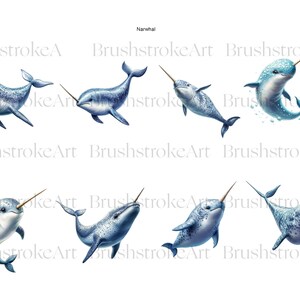 Narwhal Clipart, Ocean Creature, Baby Narwhal, Under the Sea, Narwhal ...