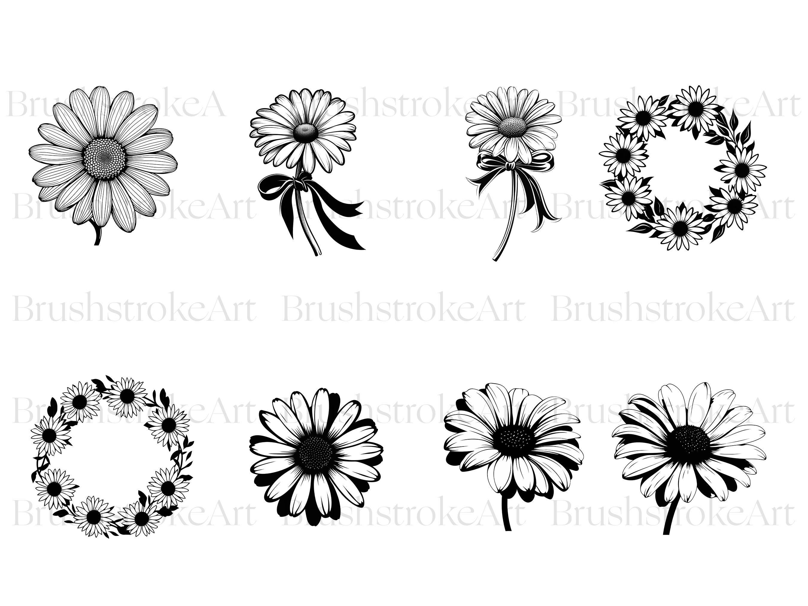 Daisy Line Art, Daisy Flower Clipart, Floral Line Art, Daisy Procreate ...