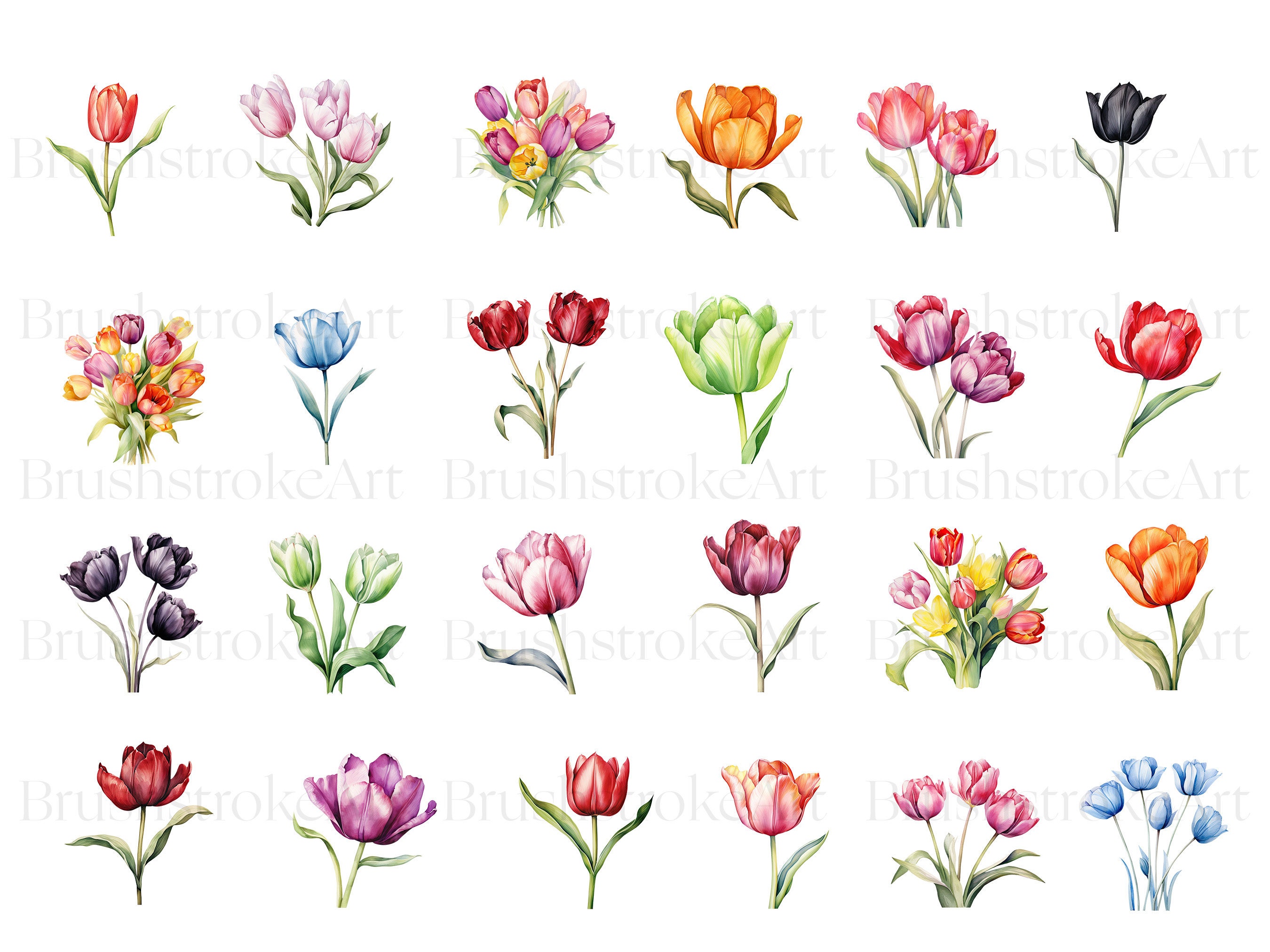 Watercolor Tulip Clipart Tulip PNG Boho Floral Wedding - Etsy