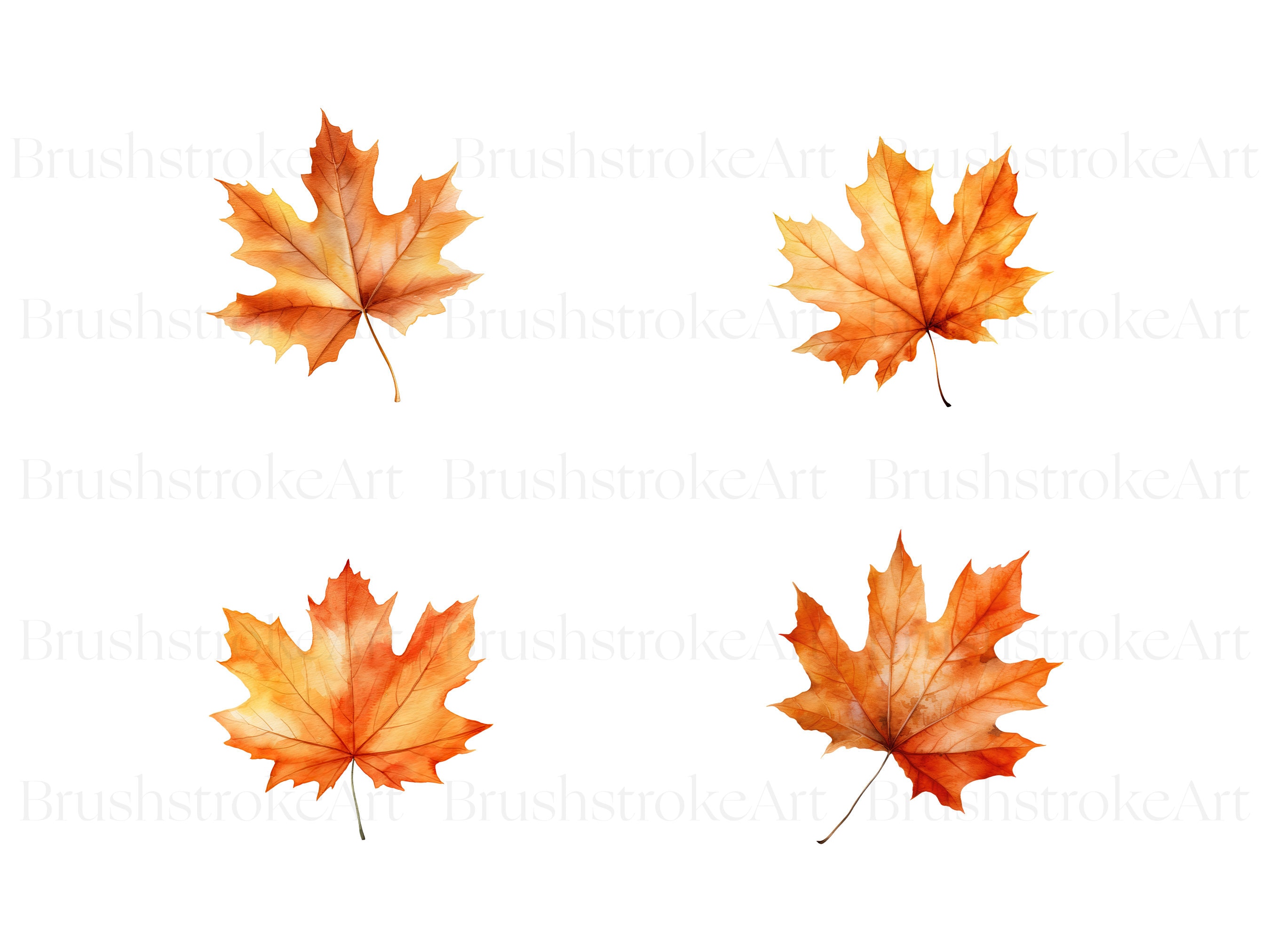 Watercolor Autumn Clipart| Fall Leaves| Autumn Shirt| Sunflower| Corn ...