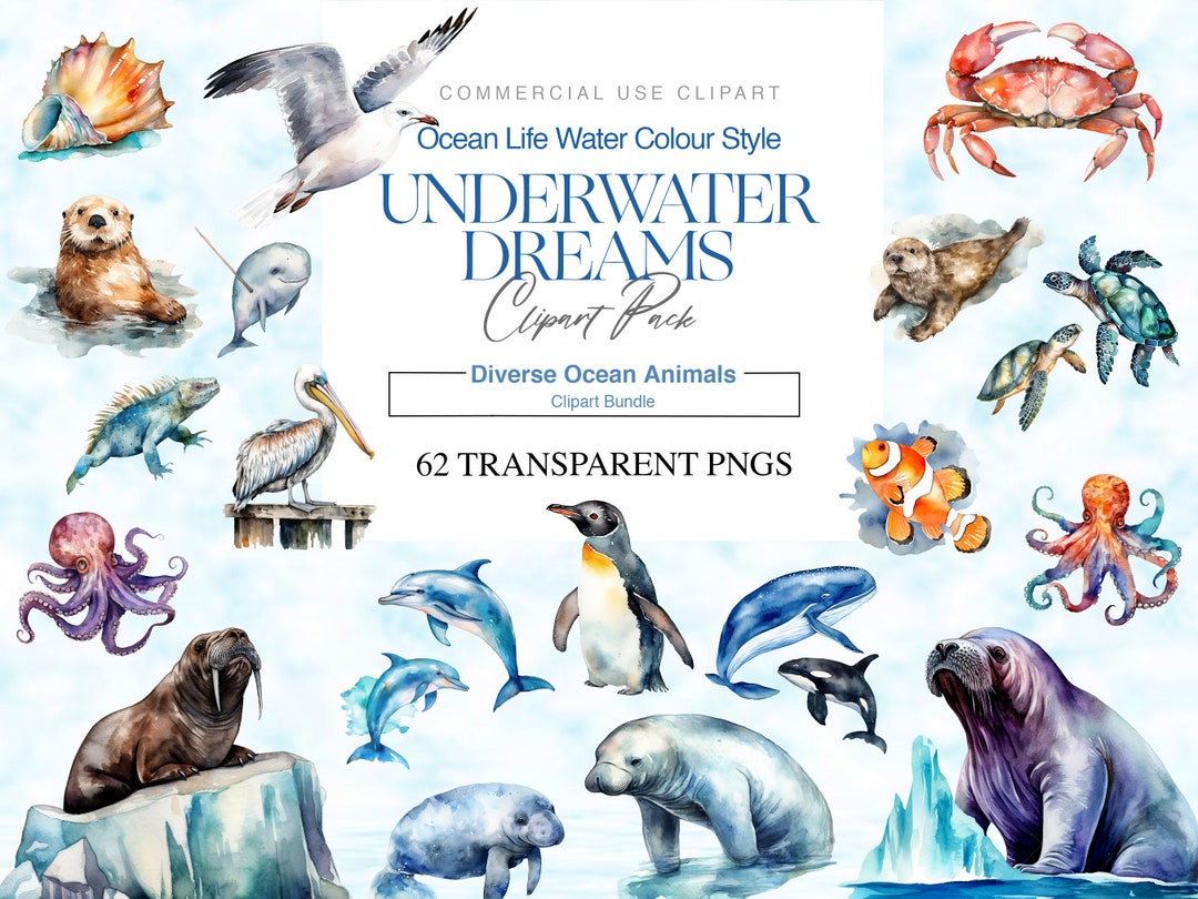 Watercolor Ocean Animals Clipart, Underwater Animals, Sea Life, Dolphin ...