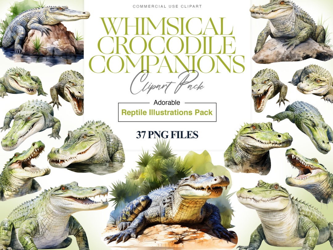 Watercolor Crocodile Clipart, Reptile, Underwater Animal PNG, Alligator ...