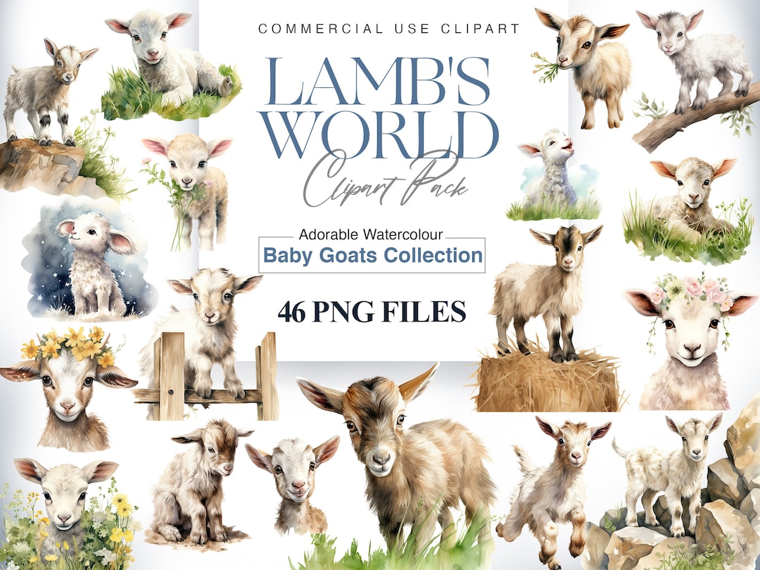 Watercolor Lamb Clipart, Baby Sheep Clipart, Baby Lamb, Farm Animals PNG, Nursery Wall Art, Cute ...