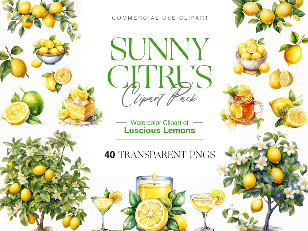 Watercolor Lemon Clipart, Lemonade, Citrus, Lime, Lemon Tree, Cake ...