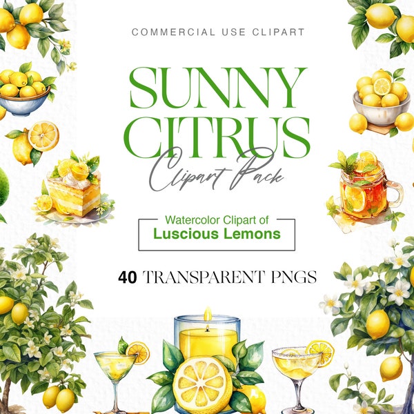 Lemon Lime Clipart - Etsy