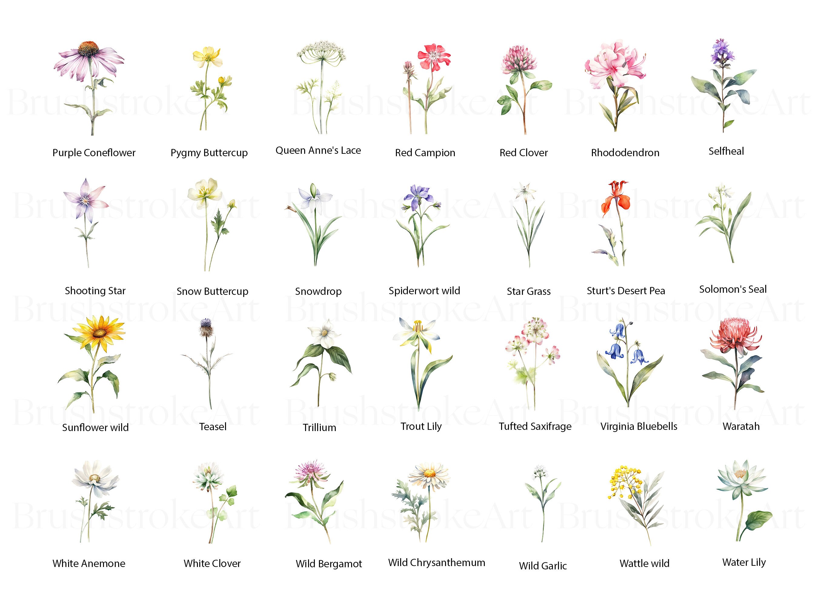 Wild Flowers Clipart Pack, Wildflower Watercolour Clipart, Floral ...