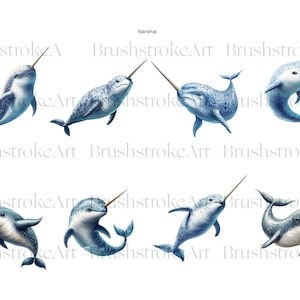 Narwhal Clipart, Ocean Creature, Baby Narwhal, Under the Sea, Narwhal ...