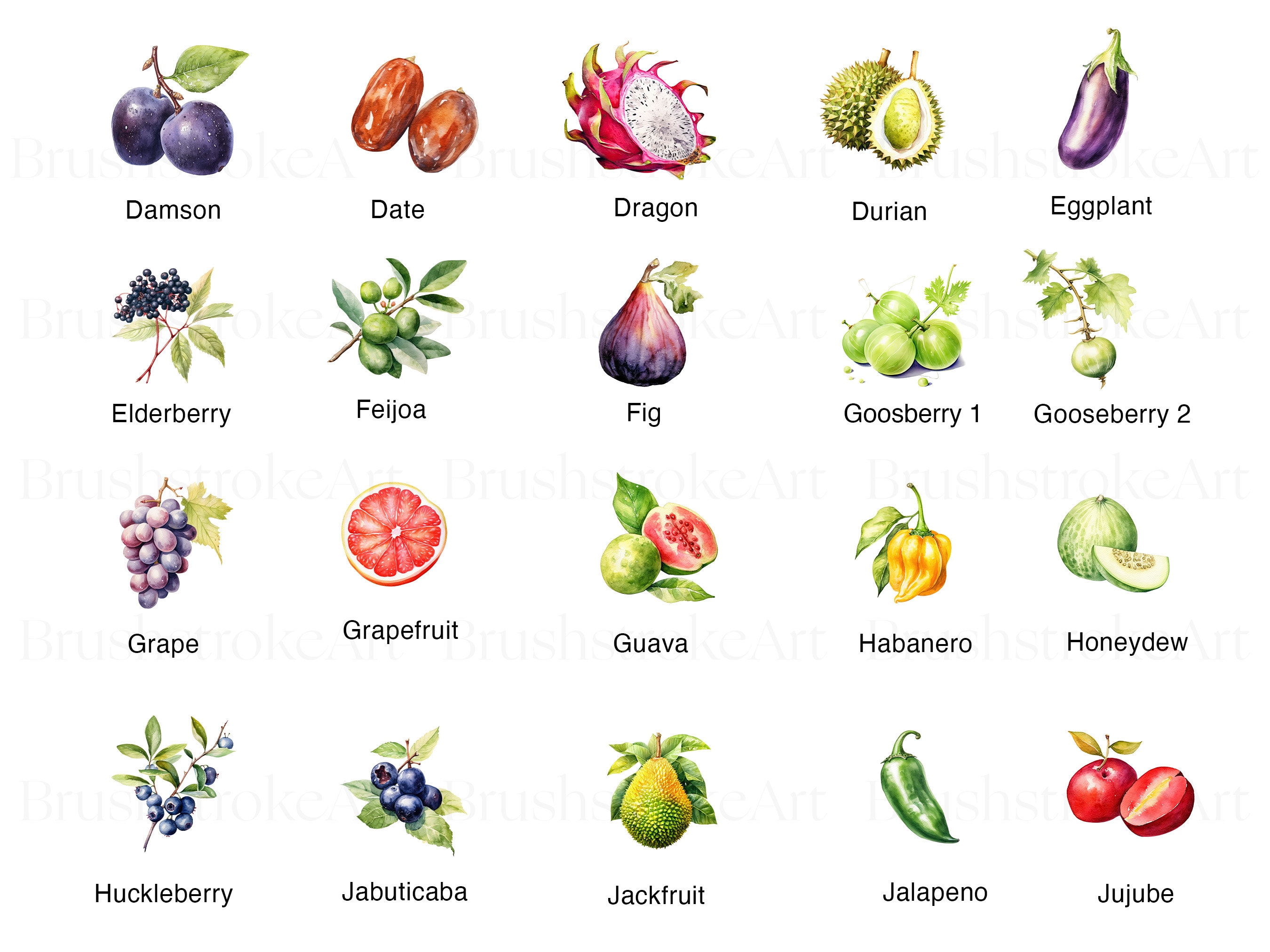 Watercolor Fruits Clipart, Pear, Blueberry, Strawberry, Plum, Apple ...