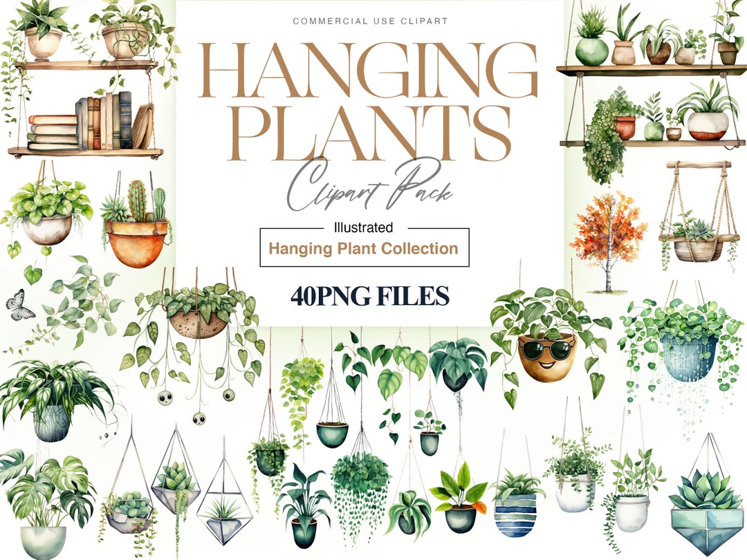 Watercolor Hanging Plants Clipart, House Plants, Potted Plants, Hanging ...