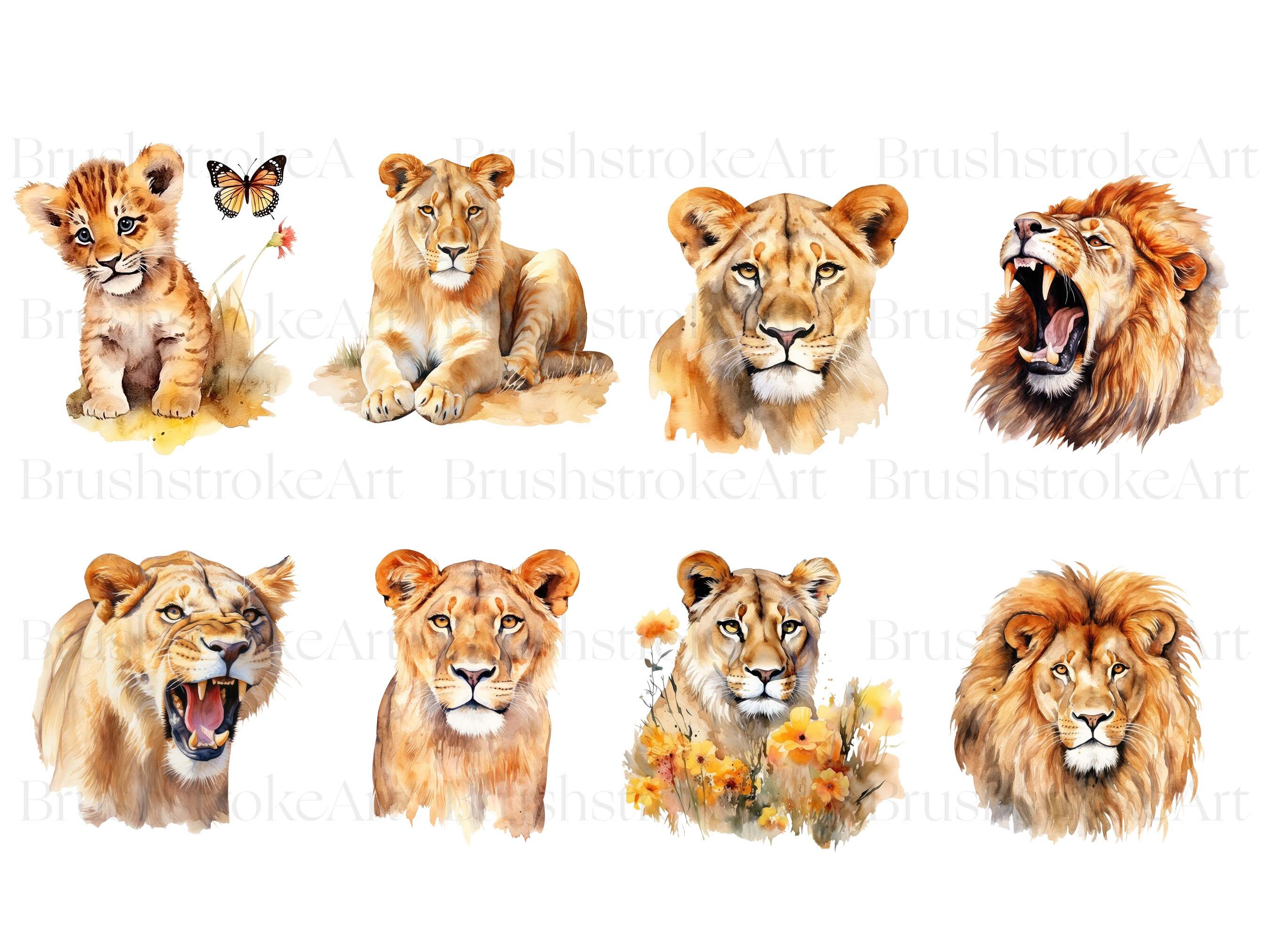 Watercolor Lion Clipart, African Lions, Cute Lion Cub, Wildlife Wall ...
