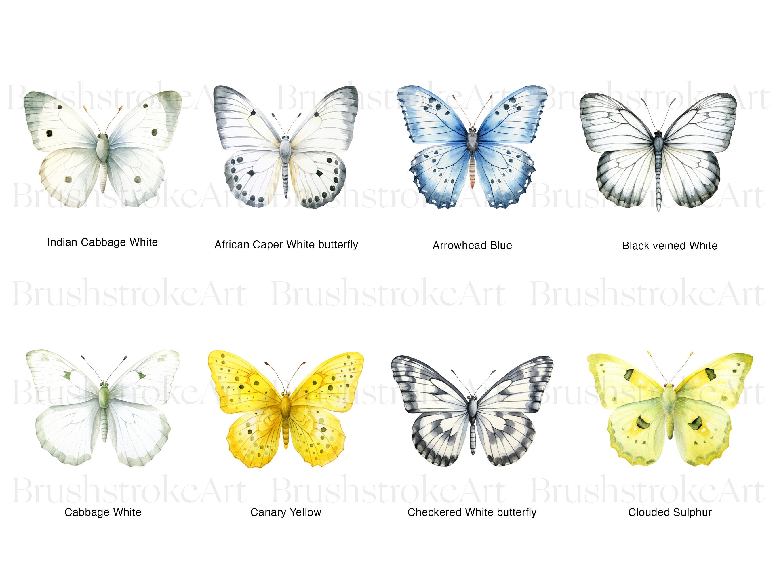 White Butterflies Clipart, Cabbage White, Wedding Butterfly Clipart ...