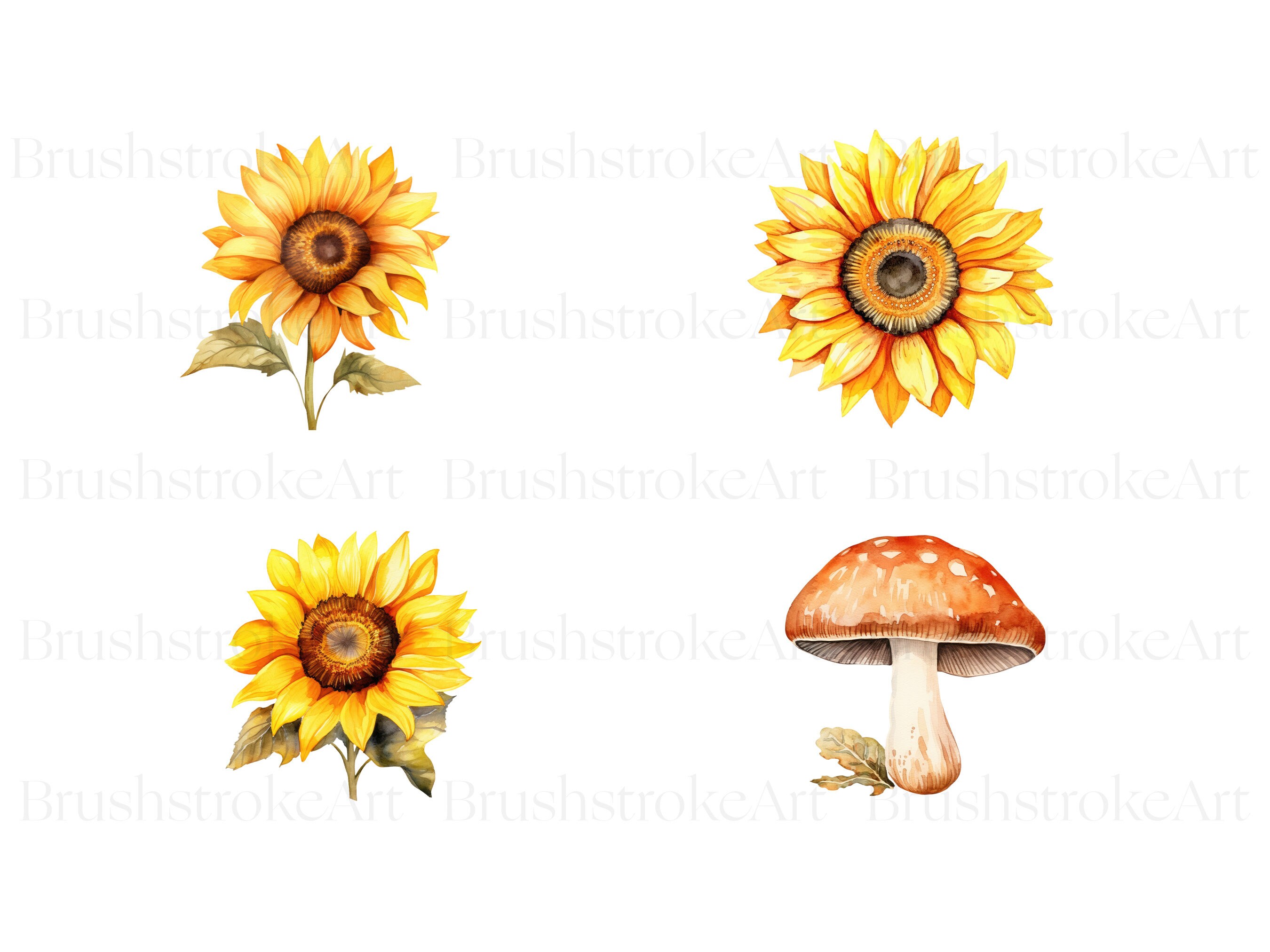 Watercolor Autumn Clipart| Fall Leaves| Autumn Shirt| Sunflower| Corn ...