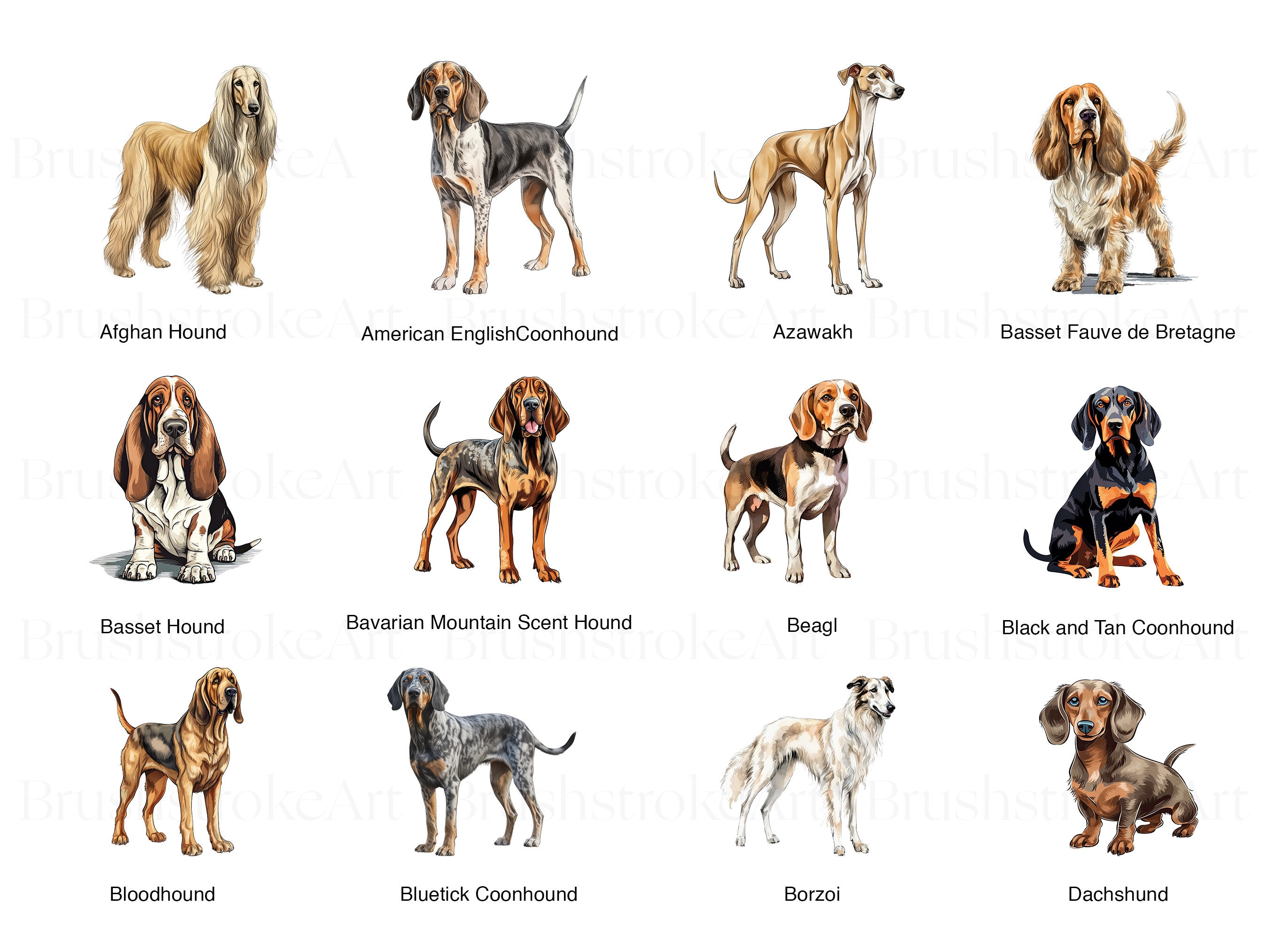 Hound Group Dogs Clipart Collection 37 Unique Watercolor Illustrations ...