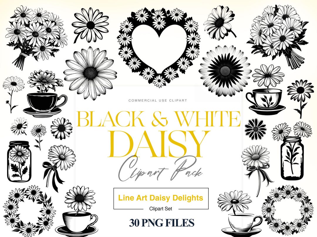 Daisy Line Art, Daisy Flower Clipart, Floral Line Art, Daisy Procreate ...
