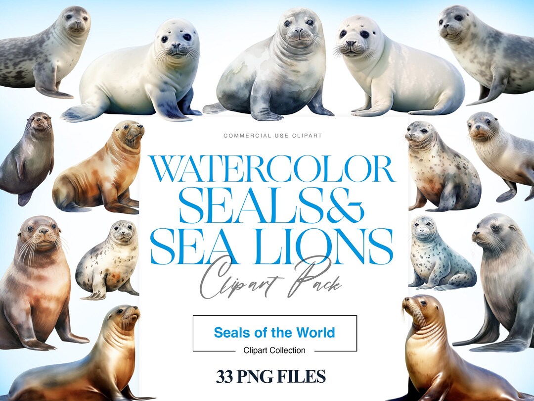 Watercolor Seal and Sea Lion Clipart, Baby Seal PNG, Ocean Animal, Sea ...