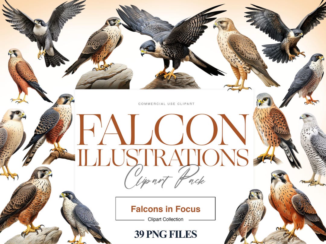 Falcon Clipart, Birds of Prey, Peregrine Falcon, Lanner Falcon PNG ...