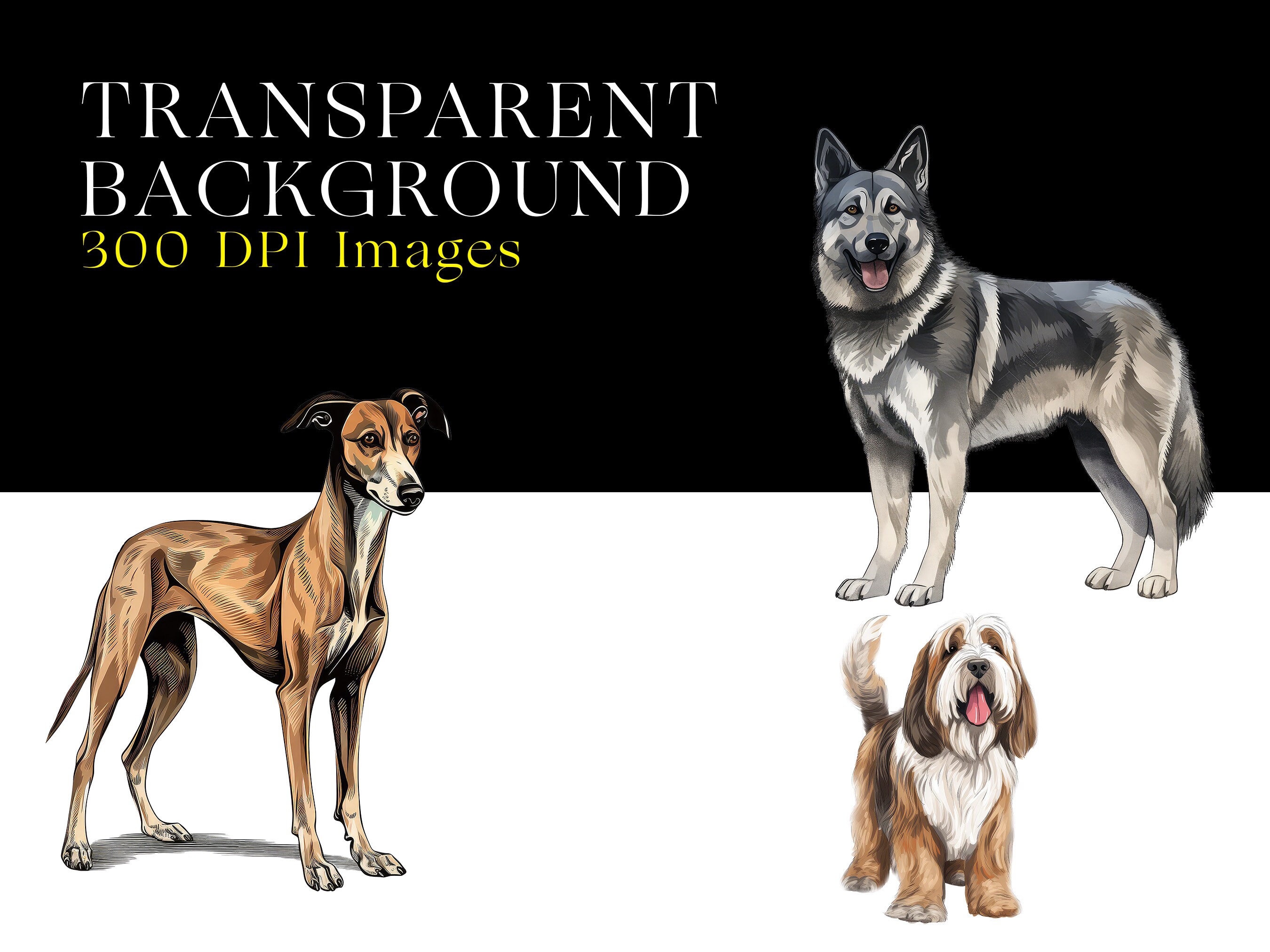 Hound Group Dogs Clipart Collection 37 Unique Watercolor Illustrations ...