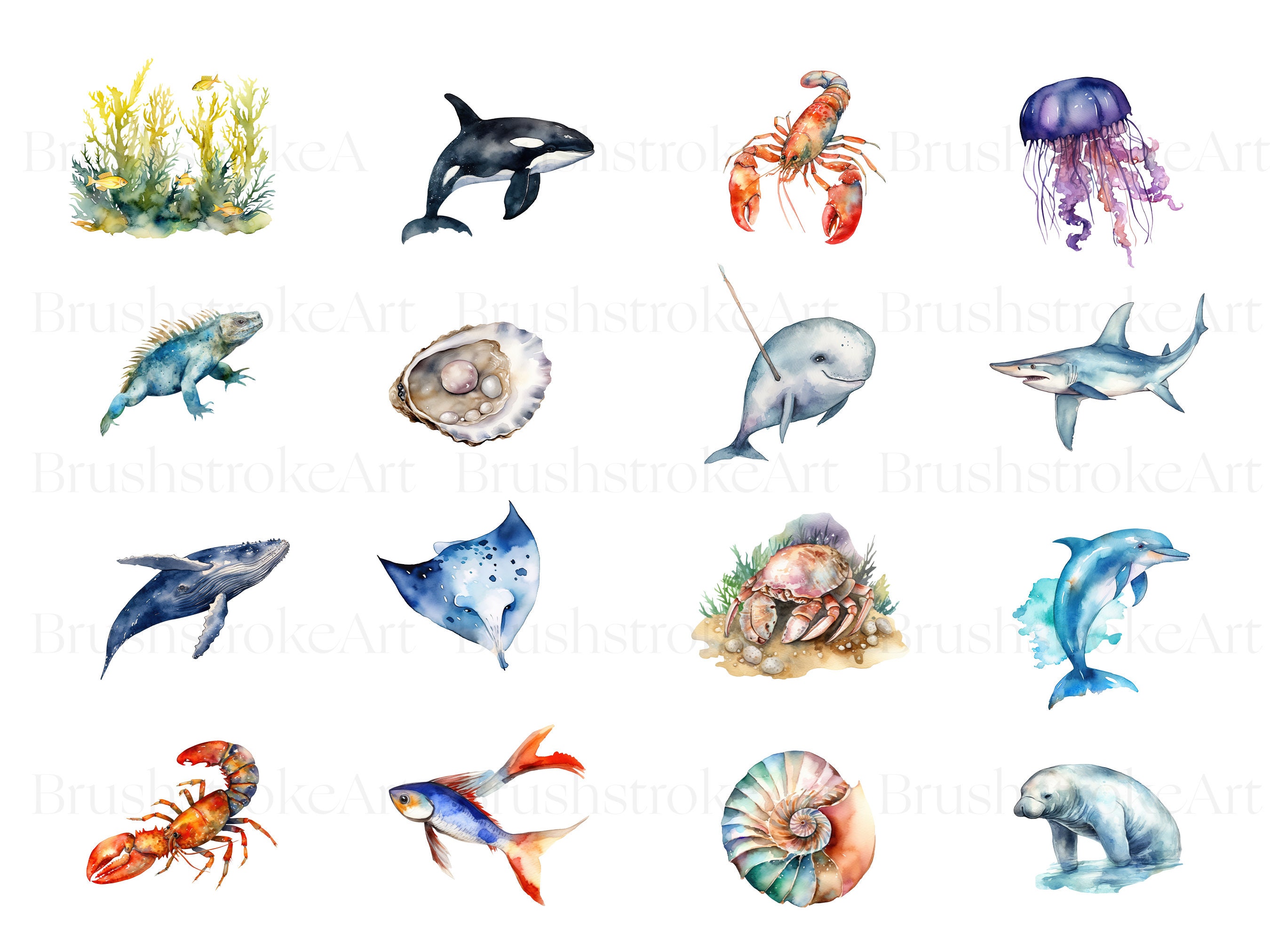 Underwater Animals Clipart Pack Cute Sea Animal, Shark, Turtle PNG ...