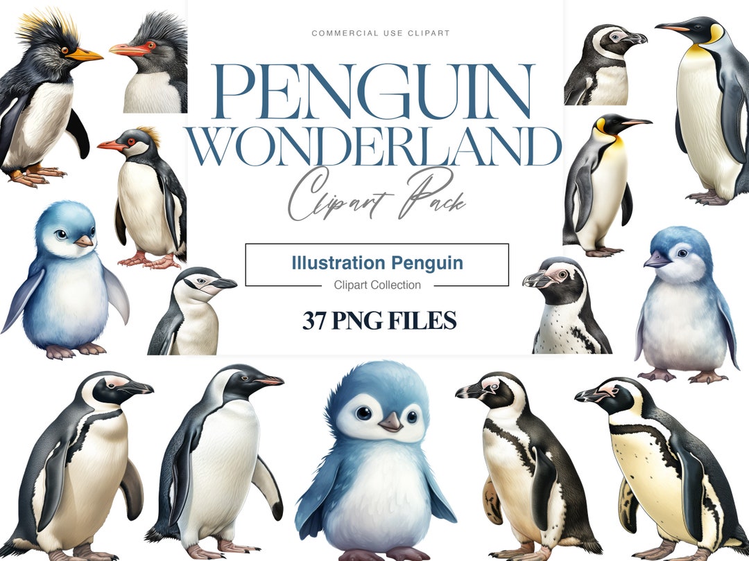 Penguin Species Clipart, Emperor Penguin, Adelie Penguin Illustration ...