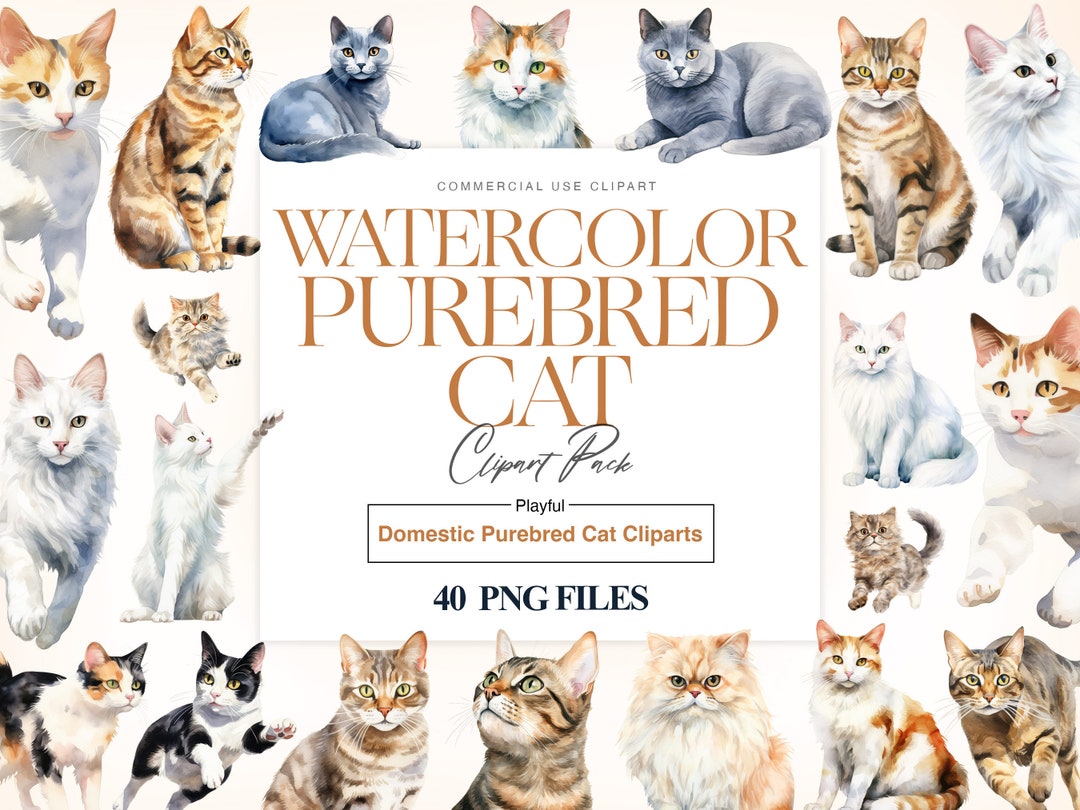Purebred Cats Clipart, American Shorthair, Cat Breeds, Cartoon Cats ...
