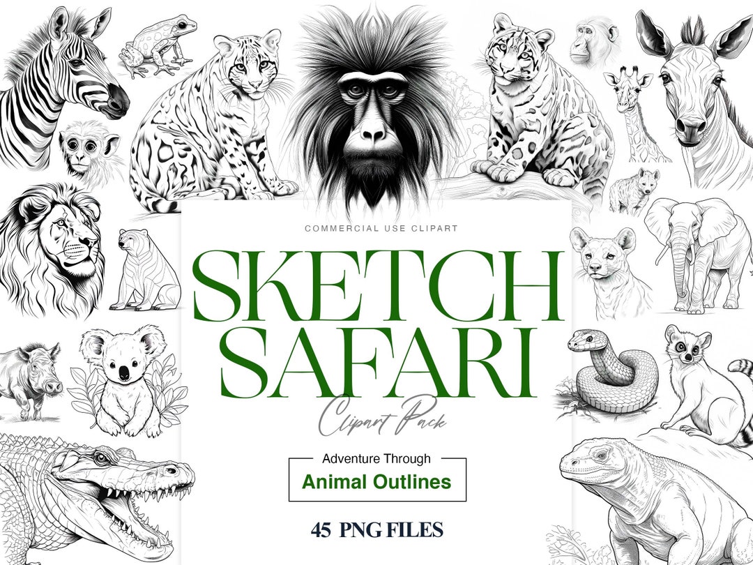 45 Safari Animals, Woodland Silhouette, African Animals, Line Art, Lion ...