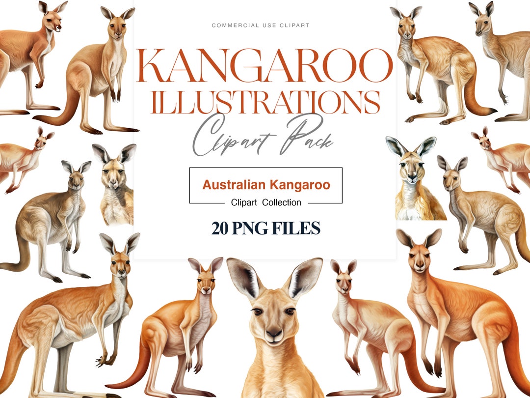 Kangaroo Clipart, Australian Kangaroo, Red Kangaroo, Western Grey ...