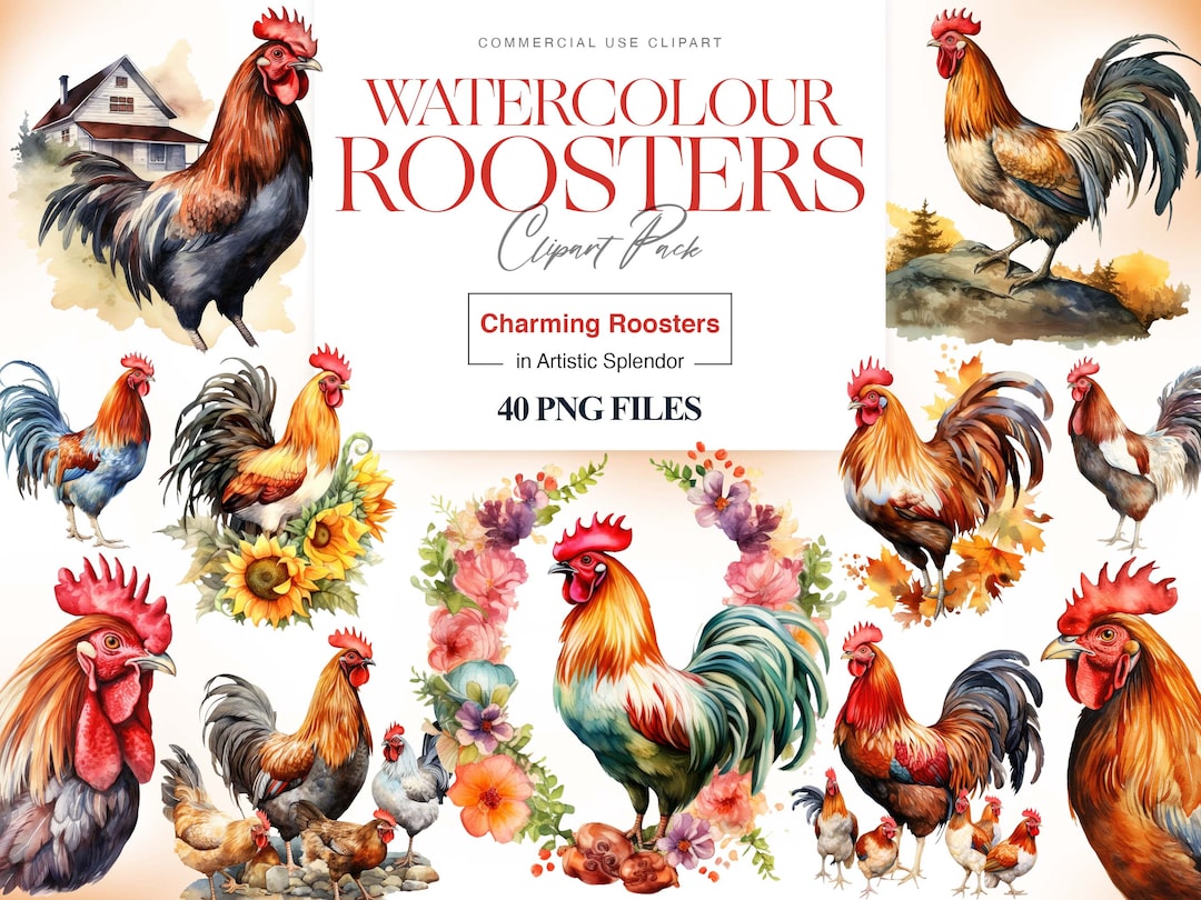 Watercolor Rooster Clipart, Chicken, Farm Bird, Colorful Rooster PNG ...