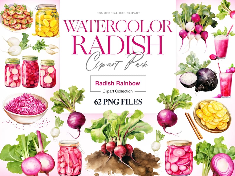 Radish Clipart, Turnip, White Radish, Root Vegetable Clipart, Radish ...