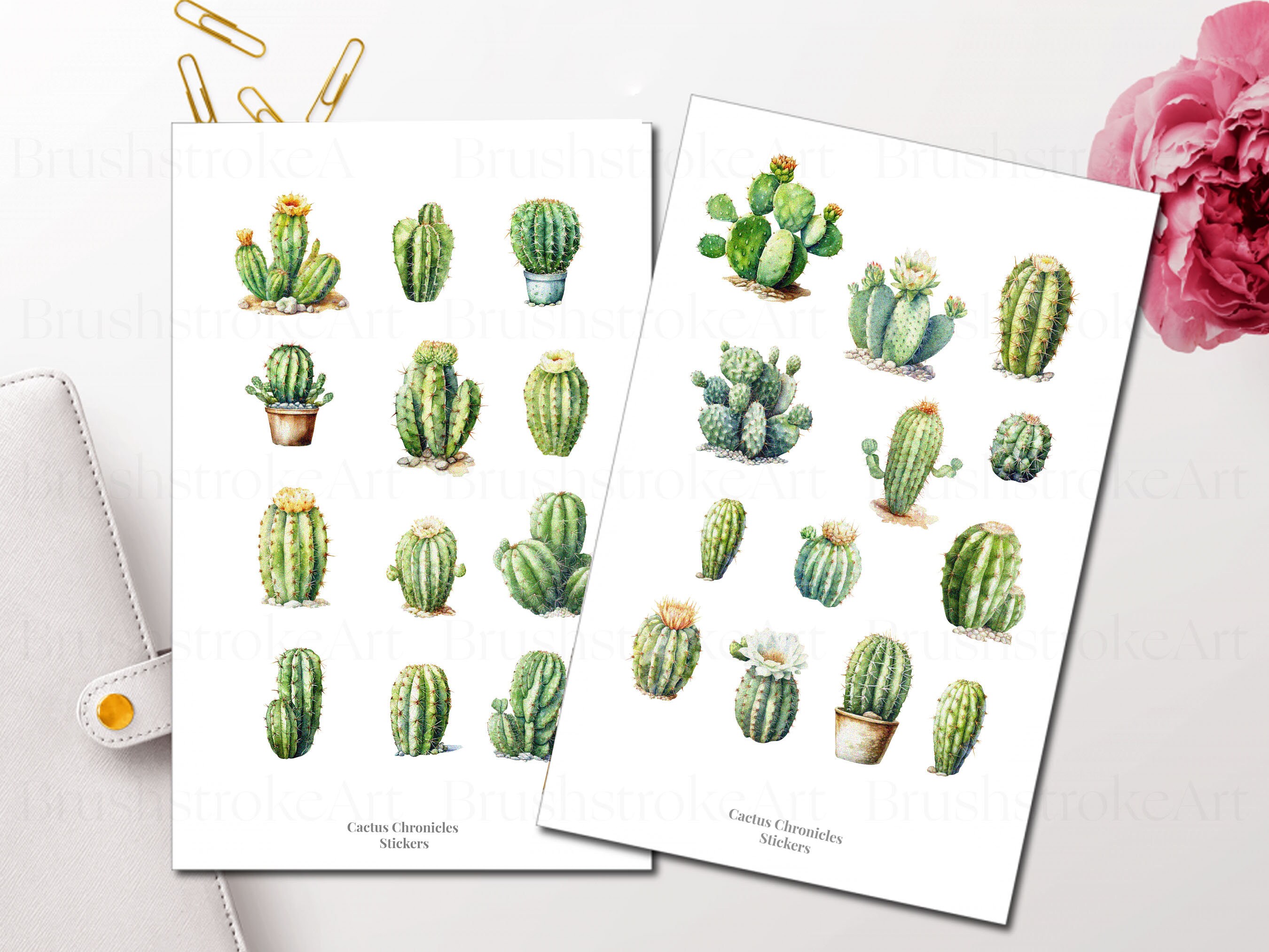 Cactus Watercolour Clipart, Cactus Illustrations, Cactus Chronicles ...