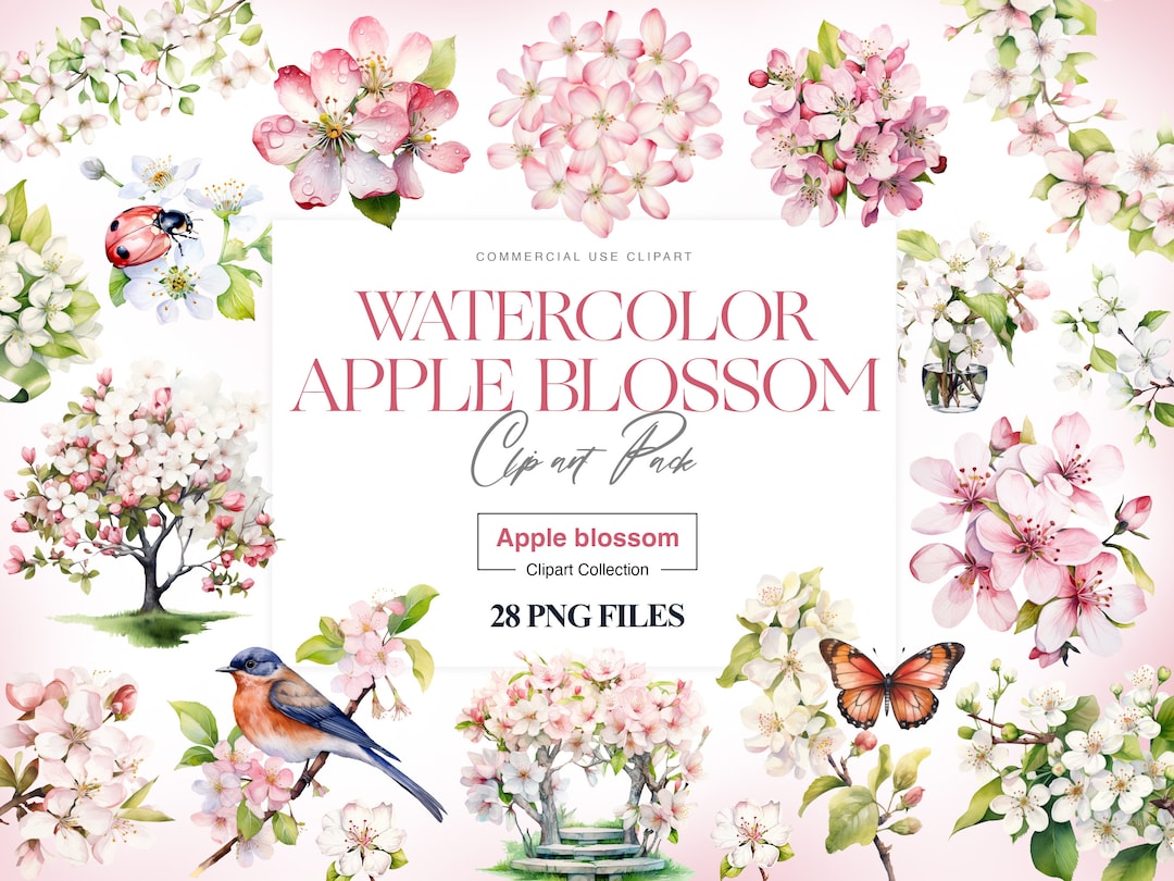 Apple Blossom Clipart, Apple Tree, Blossoming Apple Flower, Pink Floral ...