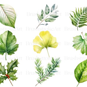 Leaf Clipart Pack: Watercolor Greenery Leaves PNG Images for - Etsy